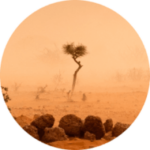 About | Global Centre for Climate Mobility